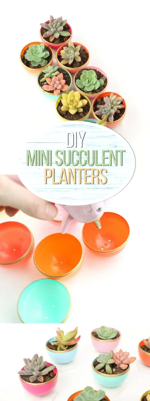 76 Easy DIY Planters and Plant Pots for Indoors and Outdoors