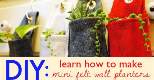 28 Easy DIY Wall Planters to Green Up Your Home Walls