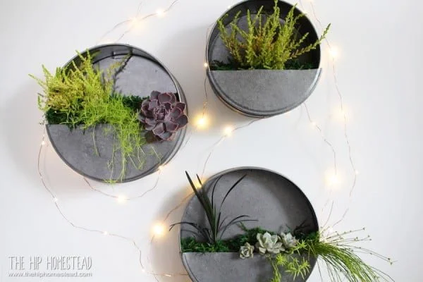 28 Easy DIY Wall Planters to Green Up Your Home Walls