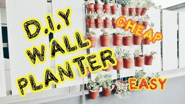 28 Easy DIY Wall Planters to Green Up Your Home Walls
