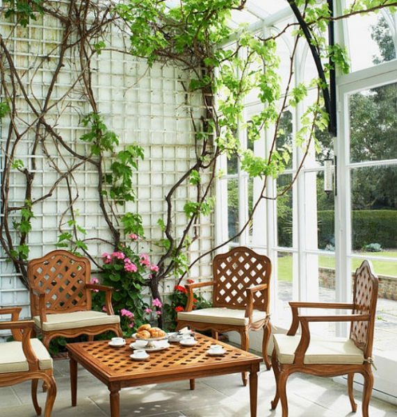 8 Easy DIY Indoor Trellis Ideas to Bring the Greenery Inside