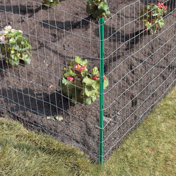 15 Simple DIY Garden Fence Ideas You Can Build Right Now
