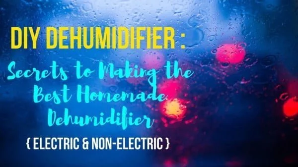 17 Easy Homemade DIY Dehumidifier Ideas on a Budget