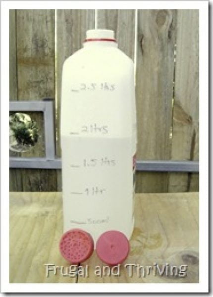 20 Easy DIY Watering Can Ideas for Any Size