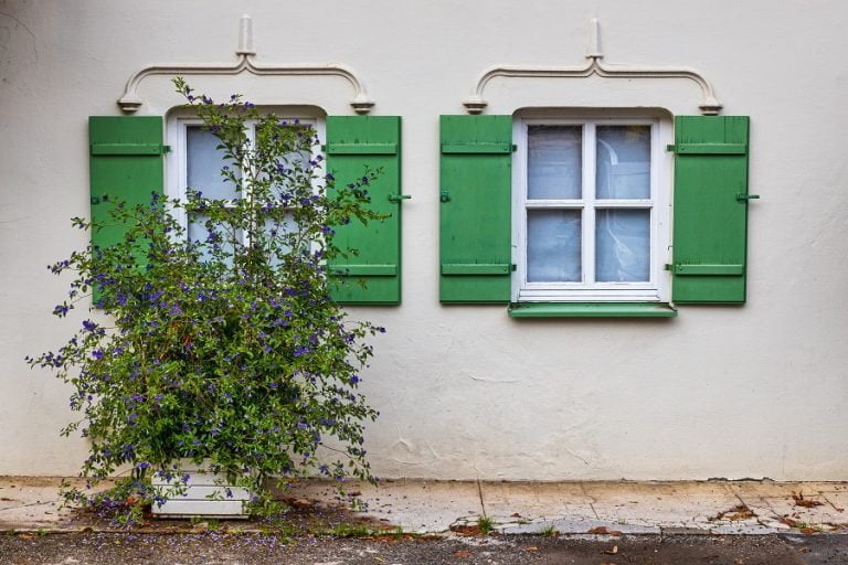 13 Alternatives to Window Shutters That Look Better