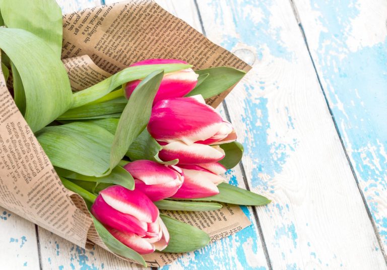 21 Efficient & Eco-friendly Paper Shredding Alternatives for Document ...