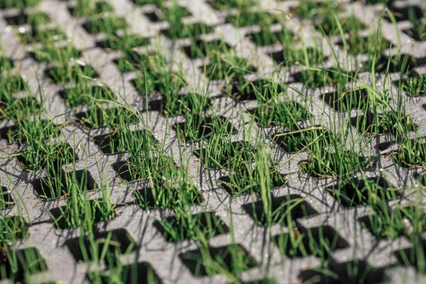 Green Alternatives to Asphalt Driveway: Sustainable & Eco-Friendly Options