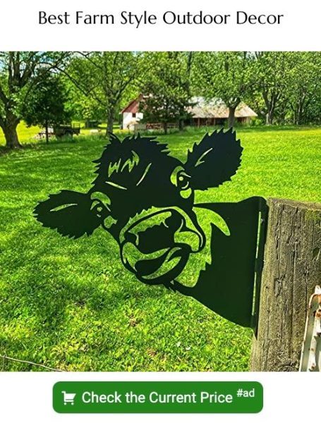 20 Farm Style Fence Ideas to Transform Your Countryside Property