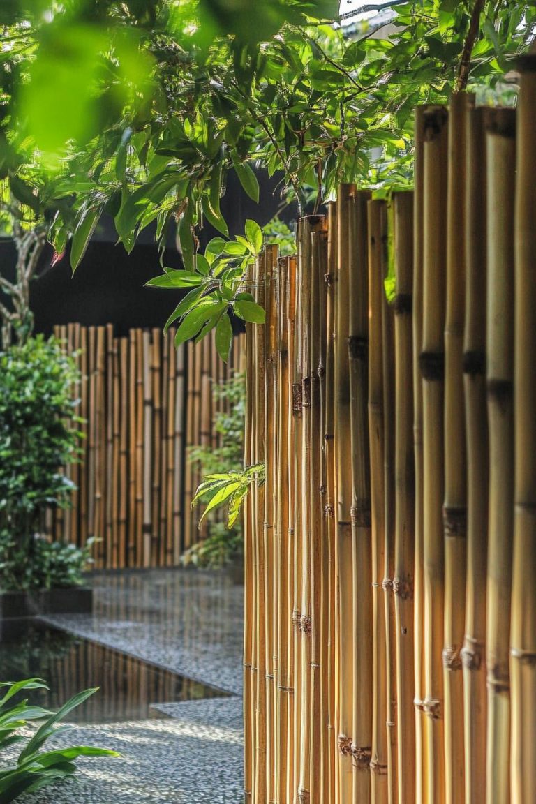 35 Bamboo Privacy Fence Ideas for Ultimate Seclusion