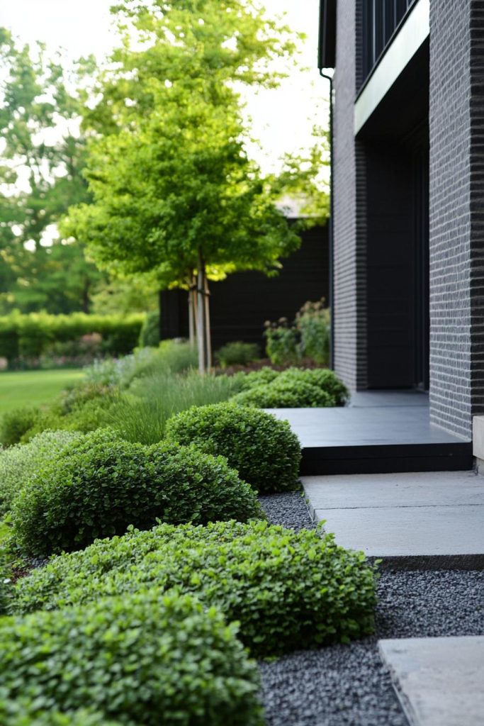 40 Evergreen Landscaping Ideas to Transform Your Garden