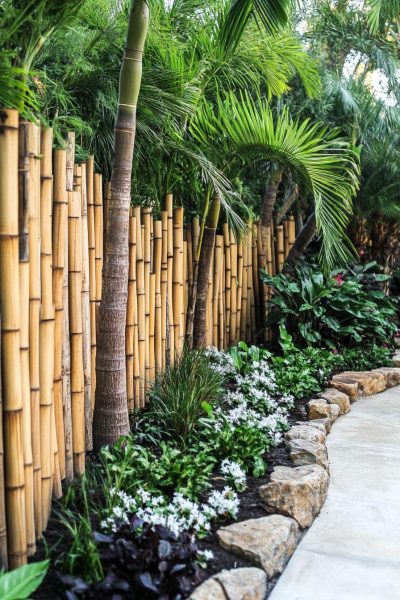35 Bamboo Privacy Fence Ideas for Ultimate Seclusion