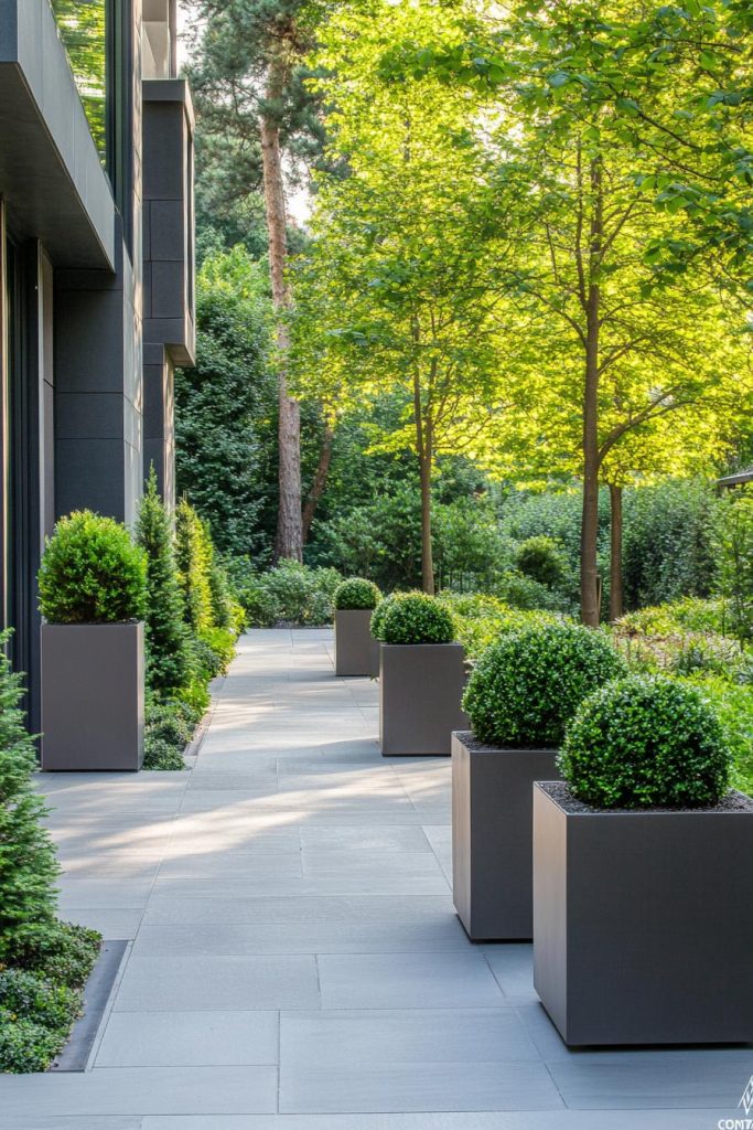 40 Evergreen Landscaping Ideas to Transform Your Garden