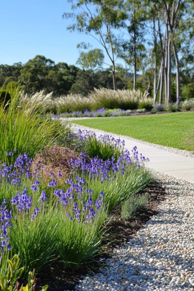 48 Australian Garden Designs That Celebrate Native Plants