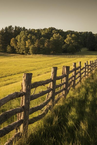 33 Natural Fence Ideas That Add Charm and Privacy