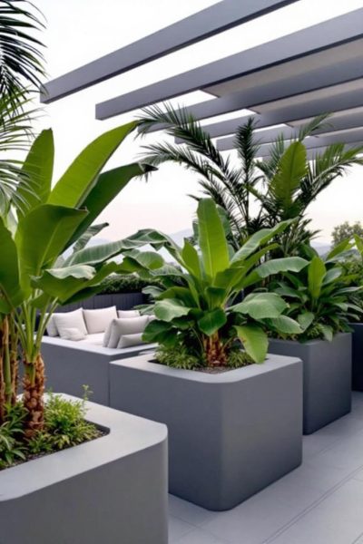 33 Terrace Garden Designs for Fresh Air and Flair