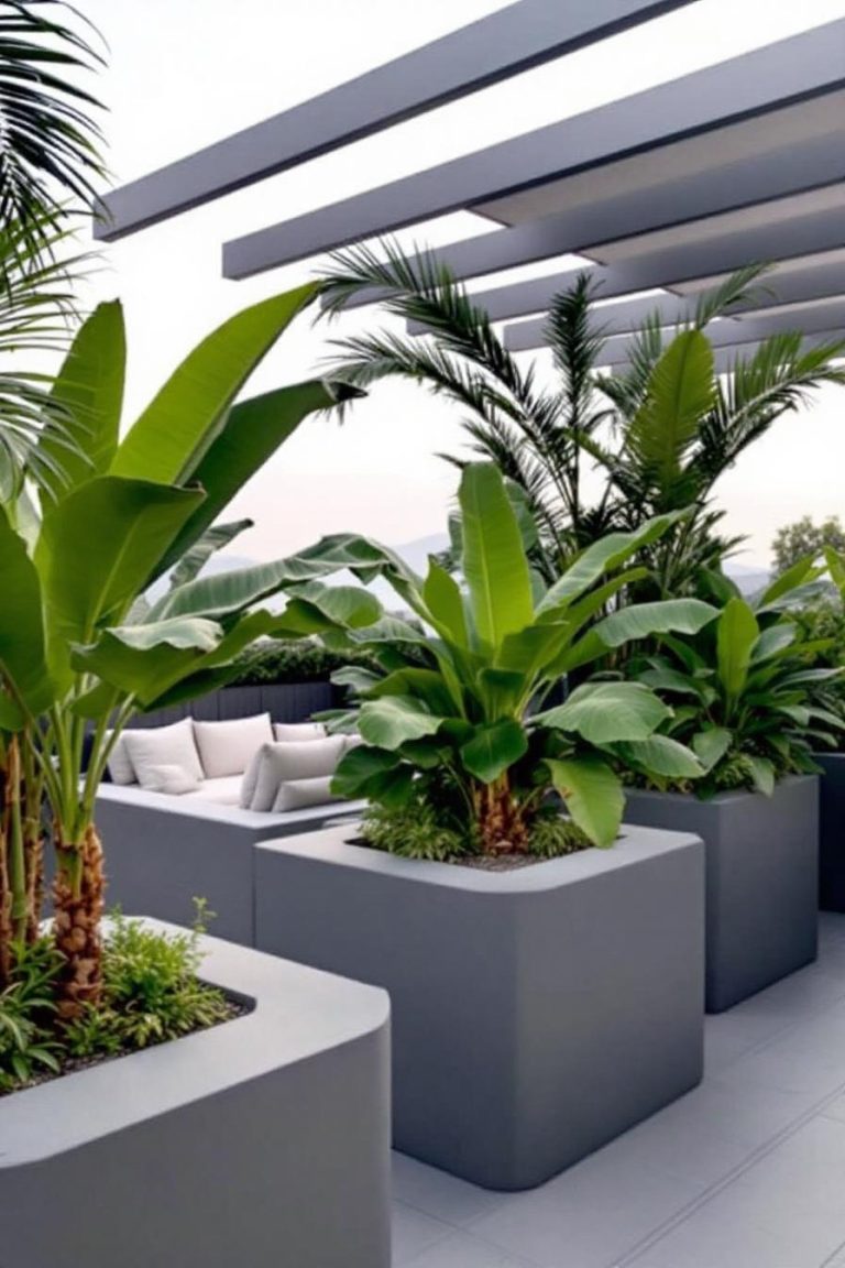 33 Terrace Garden Designs for Fresh Air and Flair