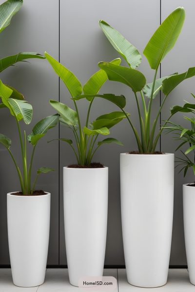 21 Big Flower Pots That Make a Huge Statement