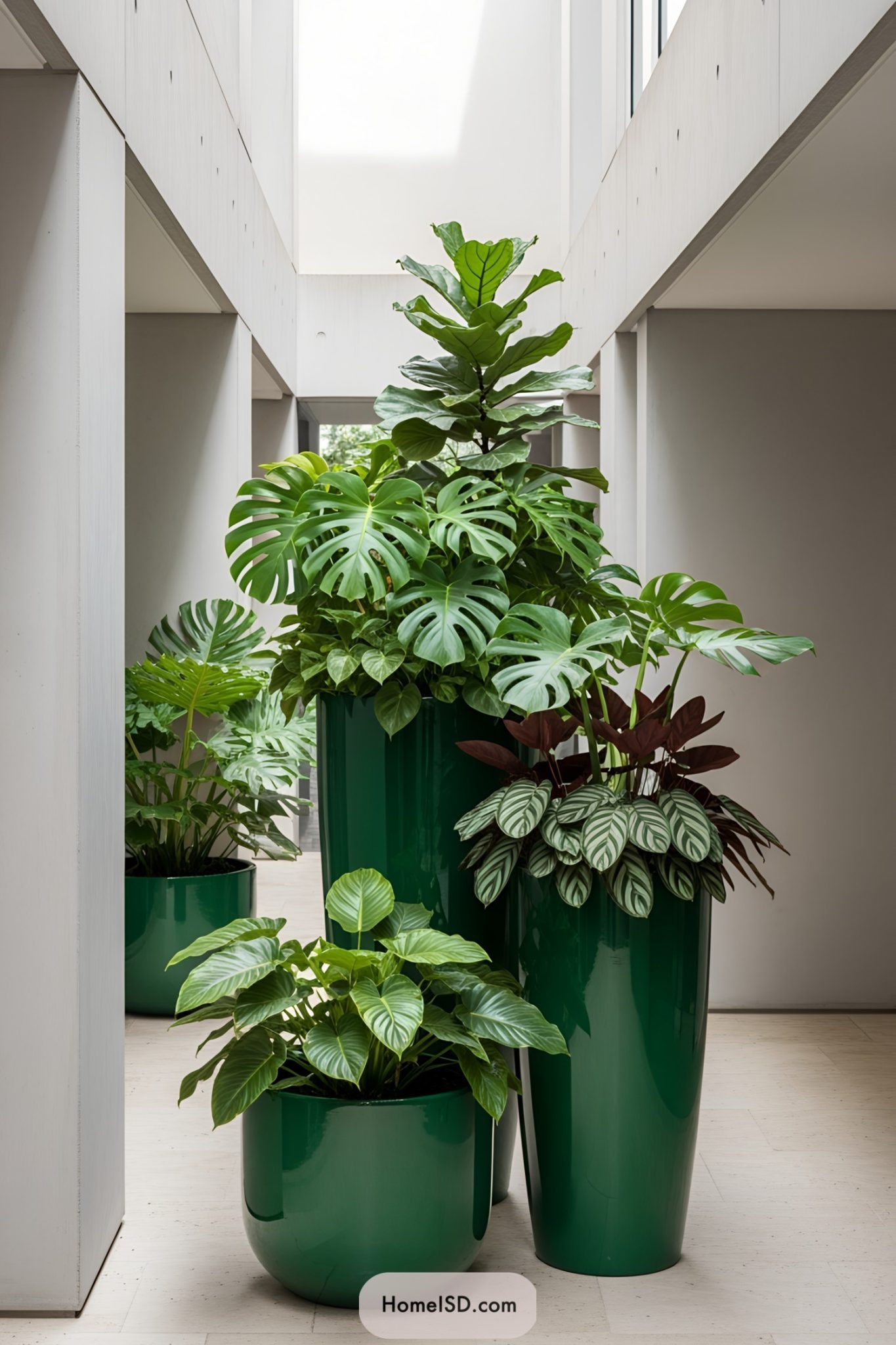 21 Big Flower Pots That Make a Huge Statement