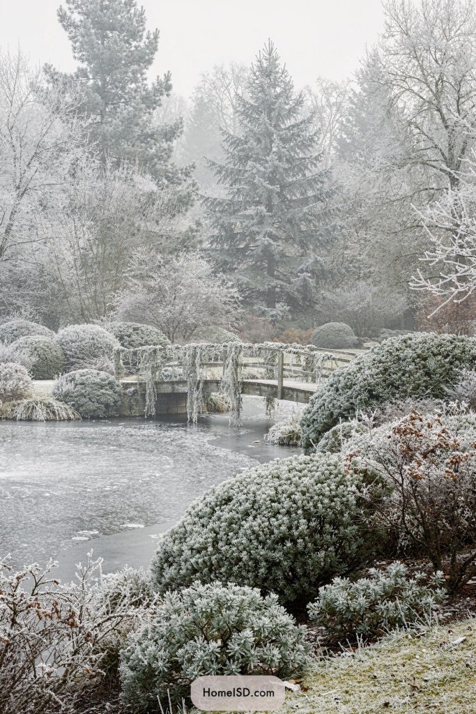 22 Cozy Landscape Designs Inspiring Winter Serenity