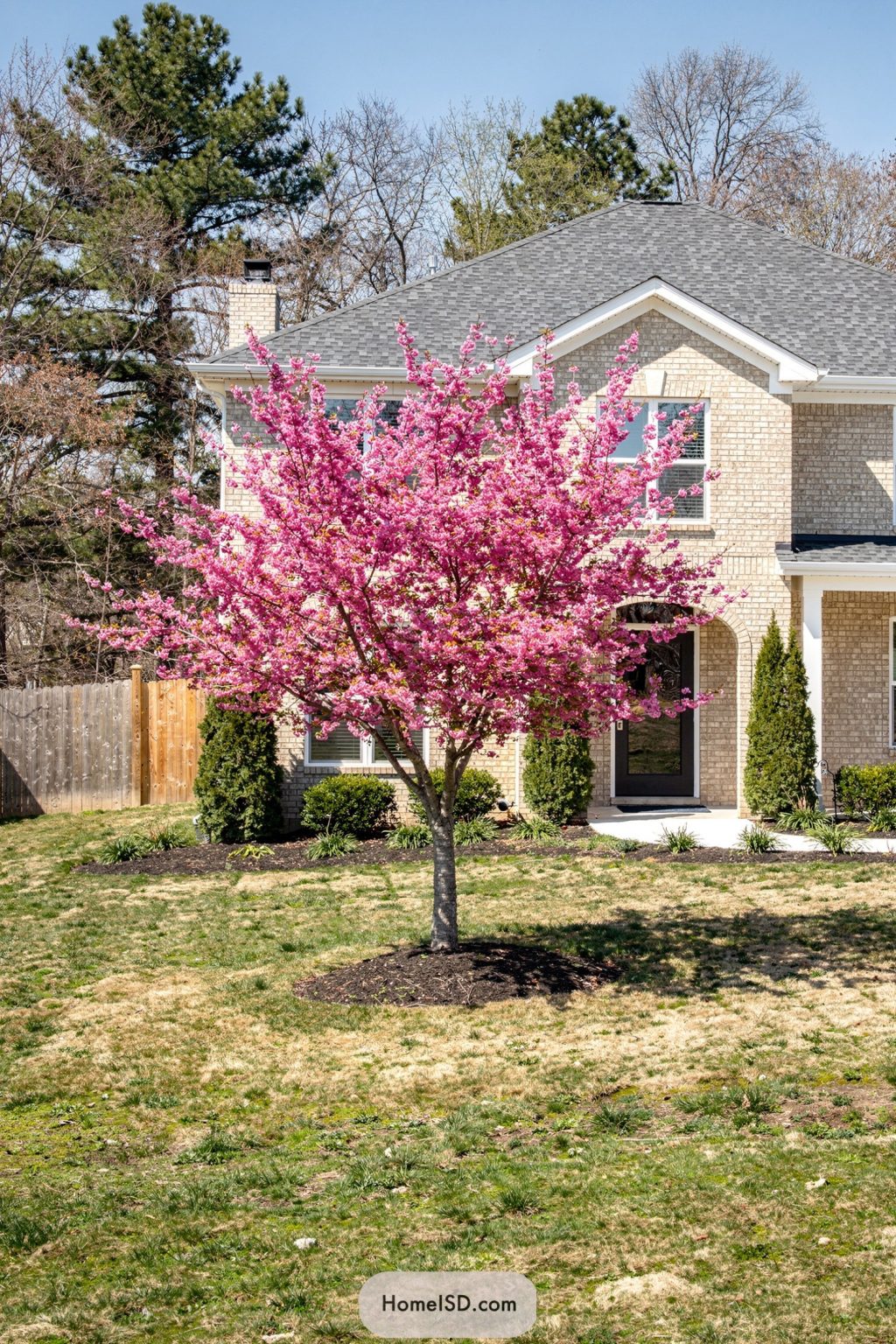 20 Pretty Landscape Designs With Pink Trees